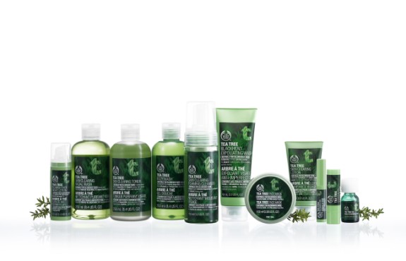 Great Uses for Tea Tree Oil