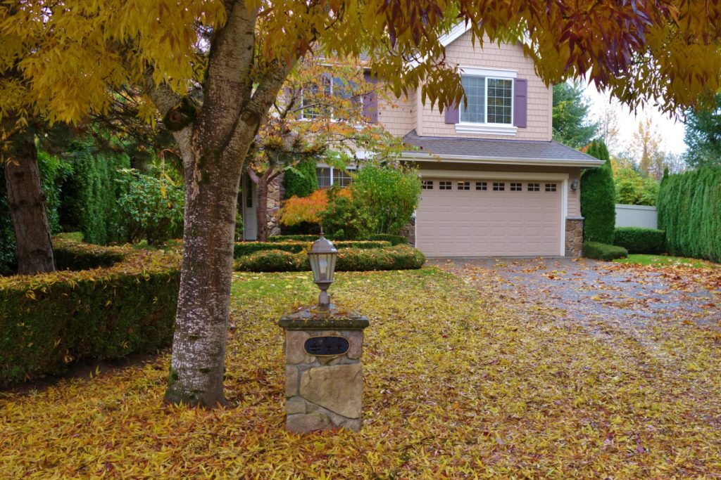 How to Prepare Your Garden for Fall