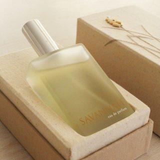 Beauty Finds and Must Haves for Great Gifts