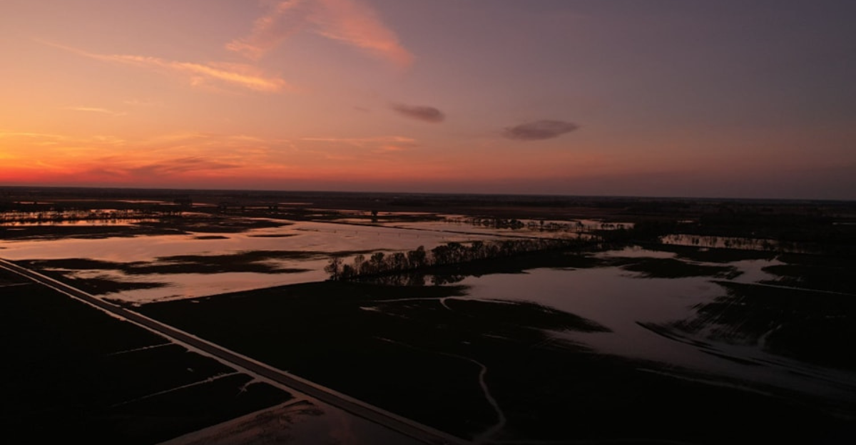 Tennessee Brothers Ignore State-Backed Flood System, Build Their Own ...