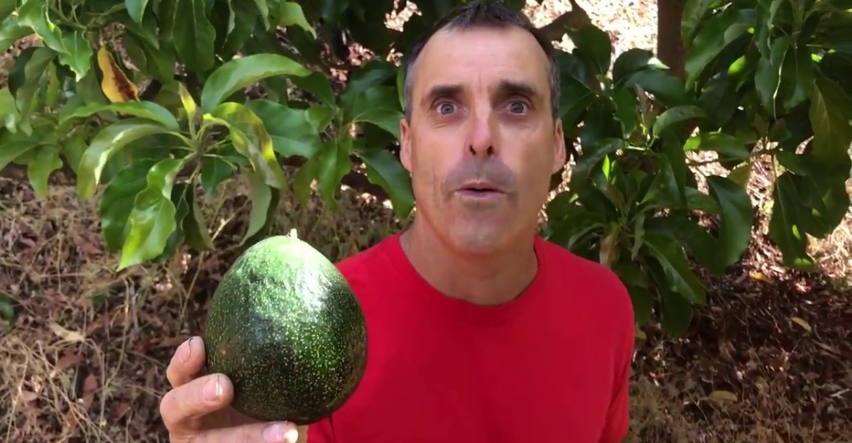 Gene-Edited Superfruits That Last Weeks Are Coming to Shelves Soon